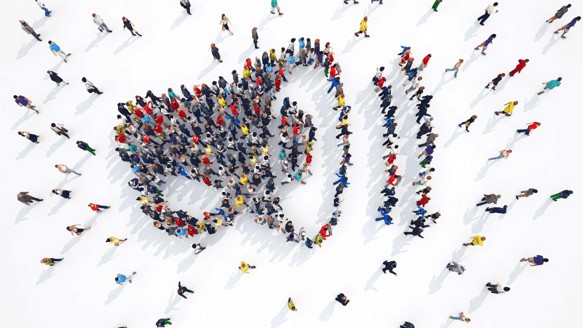 Powerful Insights: How Echo Chambers Affect The Brain