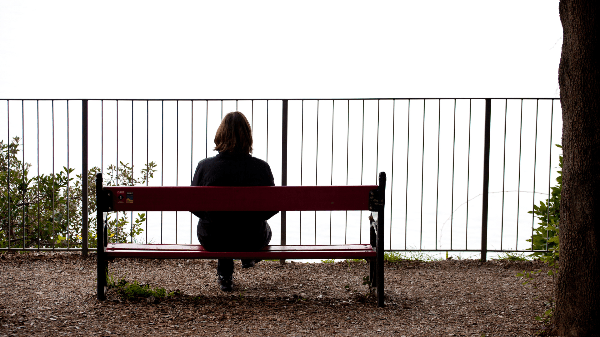 The Neuroscience Of Sex Addiction How The Brain Drives Compulsion